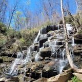Yellow Branch Falls Trail, South Carolina - 2,642 Reviews, Map | AllTrails