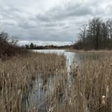 Twelve Trail and Laura Secord Loop, Ontario, Canada - 188 Reviews, Map ...