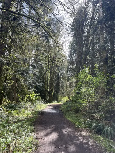 Best Walking Trails in Port Gamble Forest Heritage Park | AllTrails