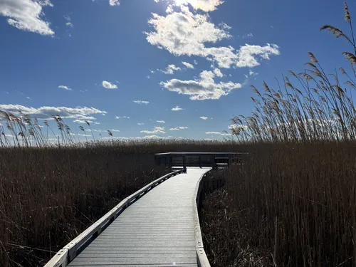 Best Wheelchair Friendly Trails in Parker River National Wildlife ...