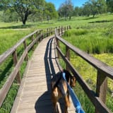 Green Valley Trail, California - 743 Reviews, Map | AllTrails