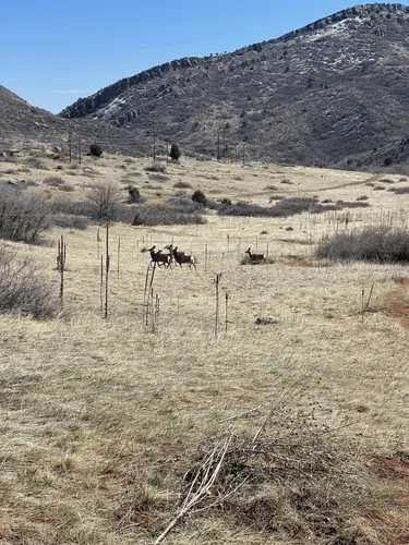 Best Hikes and Trails in Ken Caryl Ranch Foundation Open Space | AllTrails