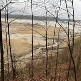 Bloodroot Trail, Indiana - 660 Reviews, Map | AllTrails