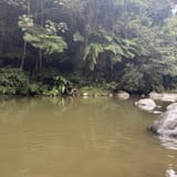 Angelito Trail, East Region, Puerto Rico - 656 Reviews, Map | AllTrails