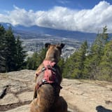 Terrace Mountain and Flathead Loop, British Columbia, Canada - 239 ...