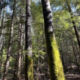 Terrace Mountain and Flathead Loop, British Columbia, Canada - 239 ...