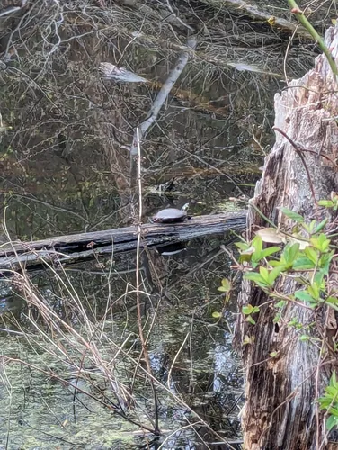 Best Easy Trails in North Point State Park | AllTrails