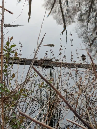 Best Easy Trails in North Point State Park | AllTrails