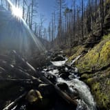 Oneonta Trail and Gorge Trail (Short Option), Oregon - 749 Reviews, Map ...