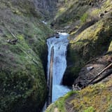Oneonta Trail and Gorge Trail (Short Option), Oregon - 828 Reviews, Map ...