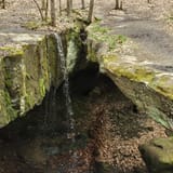 Natural Bridge Trail and Rock Shelter Trail Loop, Ohio - 1,520 Reviews ...