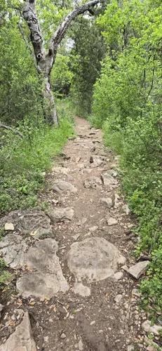 Best Easy Trails in Colorado Bend State Park | AllTrails