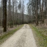 Deep Creek Loop Trail, North Carolina - 2,110 Reviews, Map | AllTrails