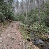 Deep Creek Loop Trail, North Carolina - 2,110 Reviews, Map | AllTrails