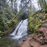 Dickerson Falls, Washington - 2,329 Reviews, Map | AllTrails