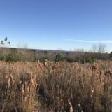 Moss Rock Preserve Trail, Alabama - 1,051 Reviews, Map | AllTrails