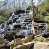 Yellow Branch Falls Trail, South Carolina - 2,642 Reviews, Map | AllTrails