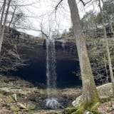 Hideout Hollow Trail, Arkansas - 582 Reviews, Map | AllTrails