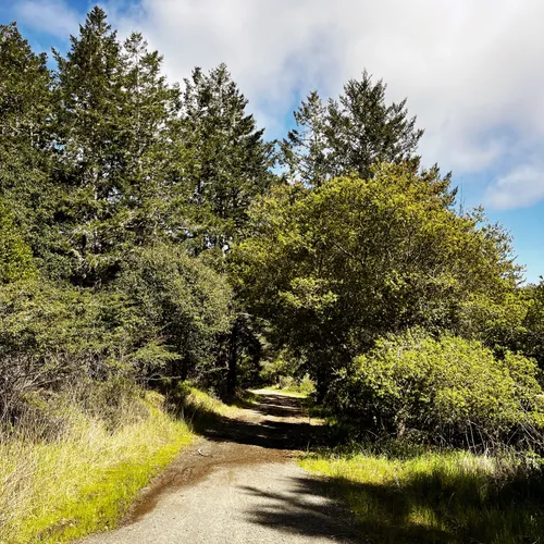 Best Backpacking Trails in Mill Valley | AllTrails