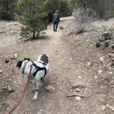 Carlito Springs Loop, New Mexico - 462 Reviews, Map | AllTrails