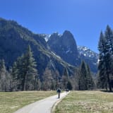 Sentinel Meadow Cook's Meadow Loop Trail, California - 3,024 Reviews ...