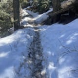 Columbine Trail, Colorado - 1,876 Reviews, Map | AllTrails