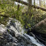 Mima Falls Loop, Washington - 1,554 Reviews, Map | AllTrails