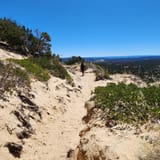 Cutler Point, Utah - 248 Reviews, Map | AllTrails