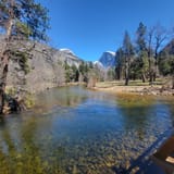 Sentinel Meadow Cook's Meadow Loop Trail, California - 3,024 Reviews ...