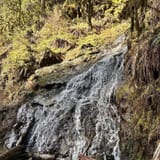 Robe Canyon Historic Trail, Washington - 952 Reviews, Map | AllTrails