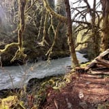 Robe Canyon Historic Trail, Washington - 952 Reviews, Map | AllTrails