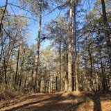 Iron Hill Loop, Georgia - 4,875 Reviews, Map | AllTrails