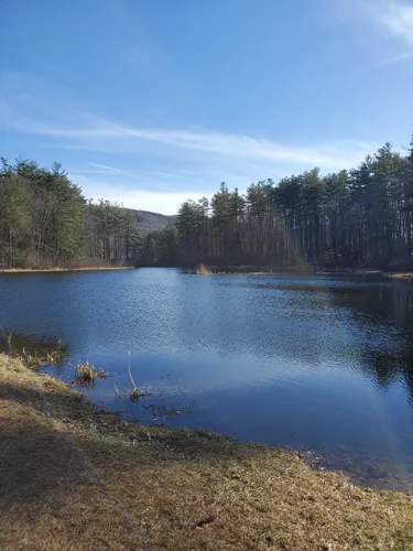 Best Hikes and Trails in Wild Acres Park | AllTrails