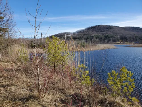 Best Hikes and Trails in Wild Acres Park | AllTrails