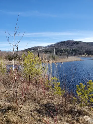 Best Hikes and Trails in Wild Acres Park | AllTrails