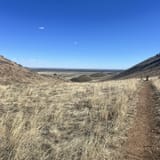 Coyote Ridge Trail, Colorado - 1,781 Reviews, Map | AllTrails