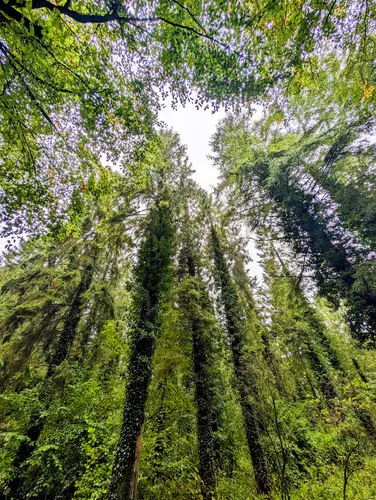 Best Hikes and Trails in Ammerdown Park | AllTrails