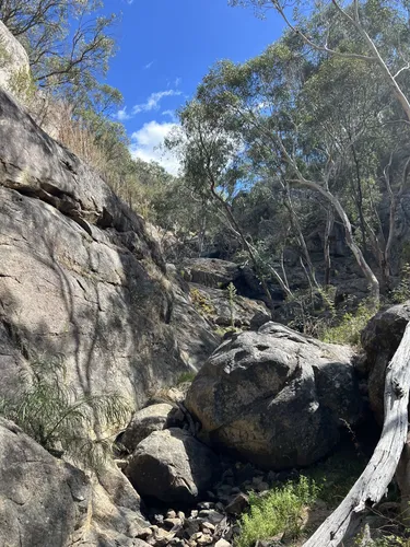 Best Short Trails in Warby-Ovens National Park | AllTrails