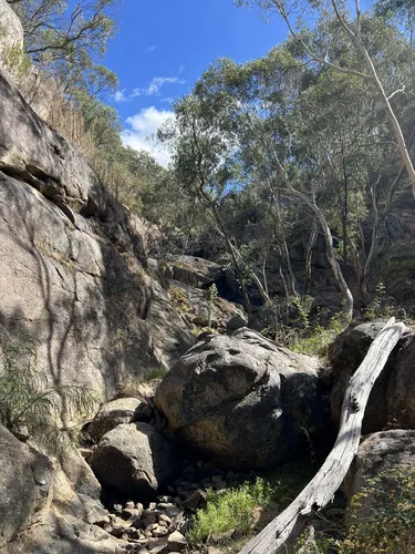 Best Short Trails in Warby-Ovens National Park | AllTrails