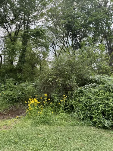 Best Hikes and Trails in Paul G Boorman Trail Park | AllTrails