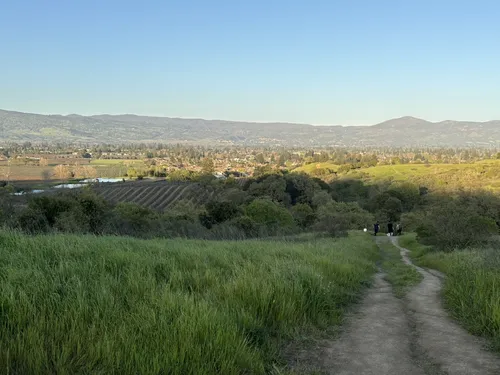 Best Hikes and Trails in Alston Park | AllTrails