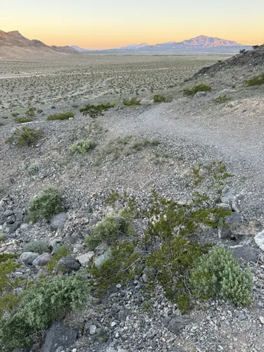 Best Hikes and Trails in Amargosa Valley | AllTrails