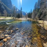 Sentinel Meadow Cook's Meadow Loop Trail, California - 3,024 Reviews ...