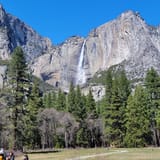 Sentinel Meadow Cook's Meadow Loop Trail, California - 3,024 Reviews ...