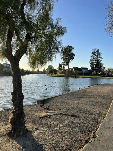 Best Hikes and Trails in Lakeshore Park | AllTrails