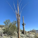 Overton Trail Loop, Arizona - 2,437 Reviews, Map | AllTrails