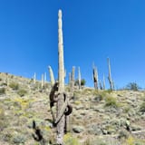 Overton Trail Loop, Arizona - 2,437 Reviews, Map | AllTrails