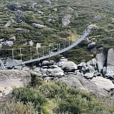 Illawong Walk, New South Wales, Australia - 330 Reviews, Map | AllTrails