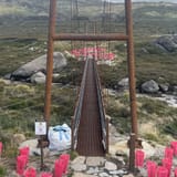 Illawong Walk, New South Wales, Australia - 330 Reviews, Map | AllTrails