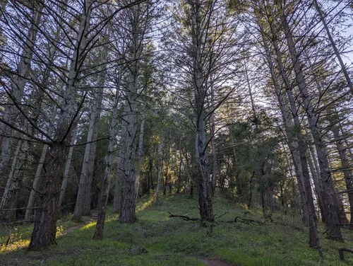 Best Hikes and Trails in Indian Tree Open Space Preserve | AllTrails